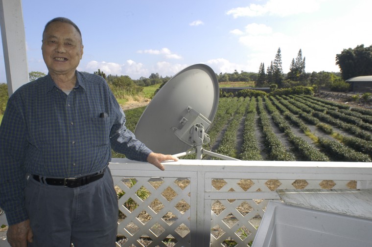 About Tea Hawaii & Company – Tea Hawaii - Artisanal Hawaii Grown Tea